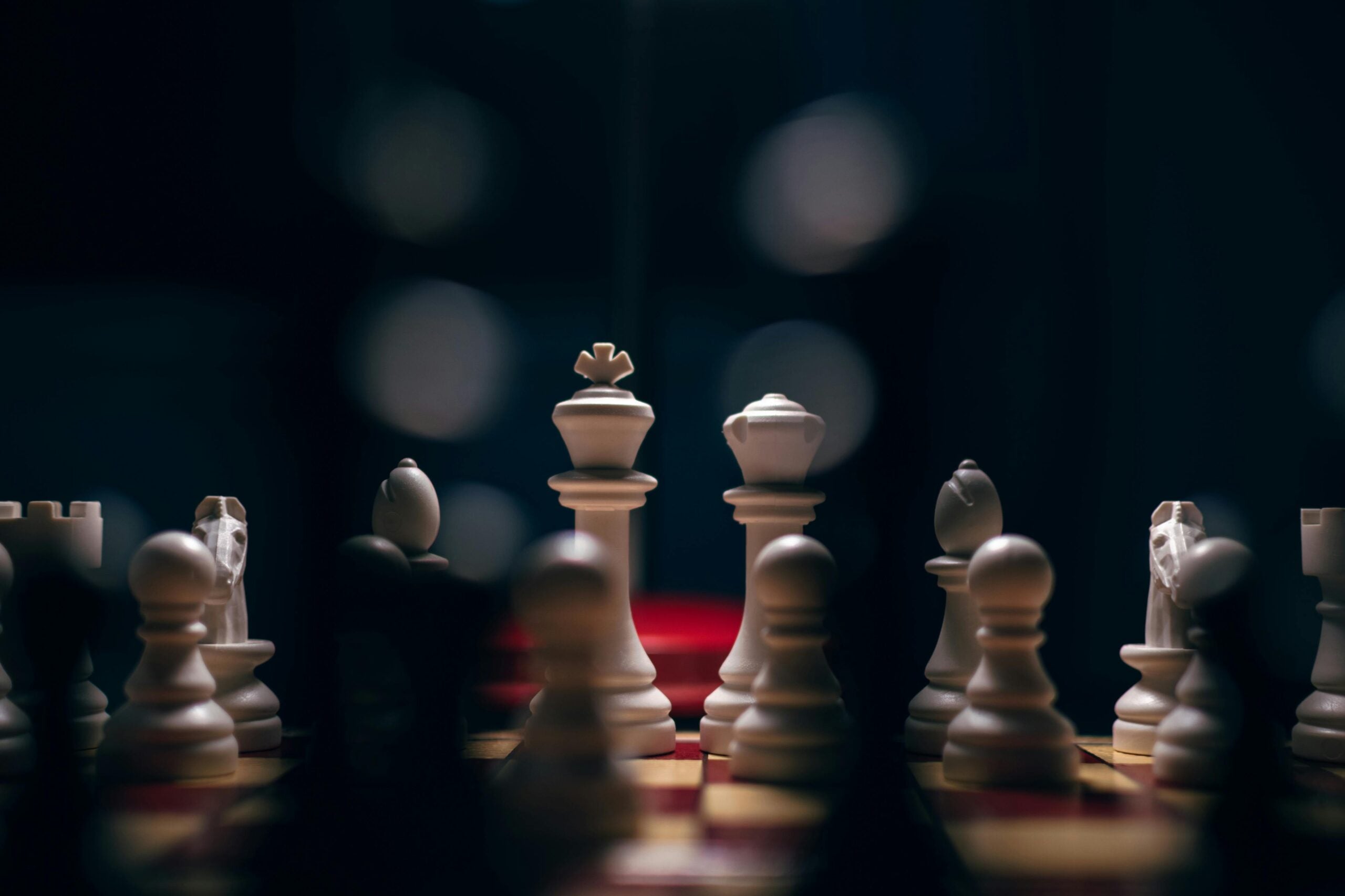 What Does It Take to Be a Chess Grandmaster – Wholesale Chess