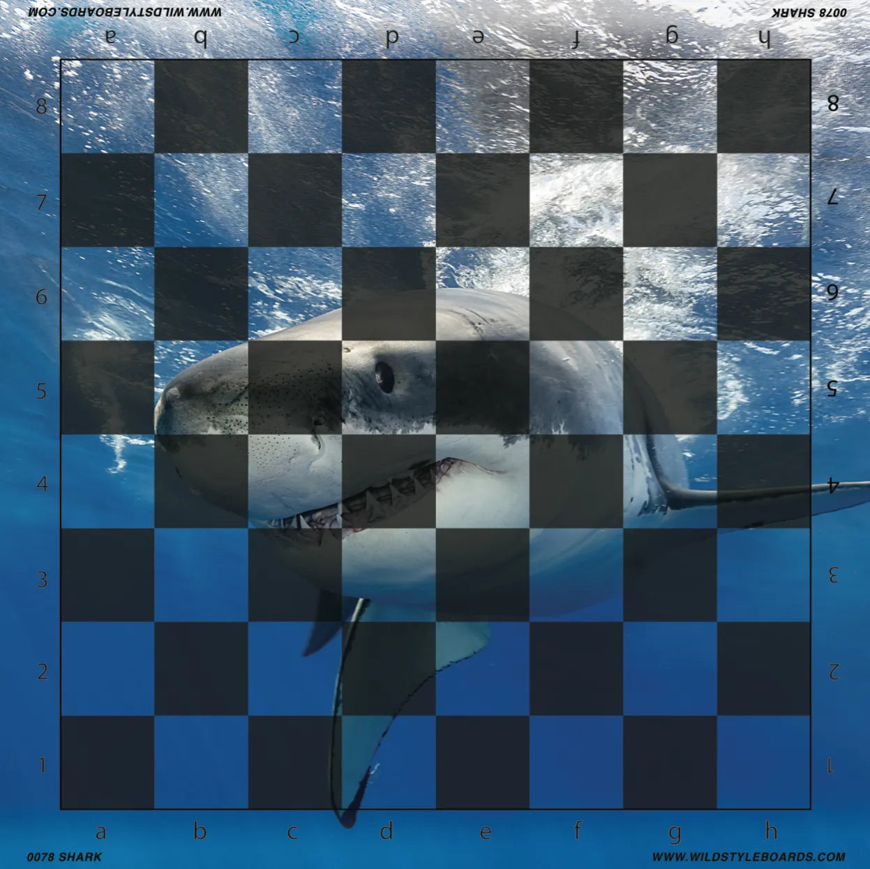 Shark - Full Color Vinyl Chess Board – Wholesale Chess